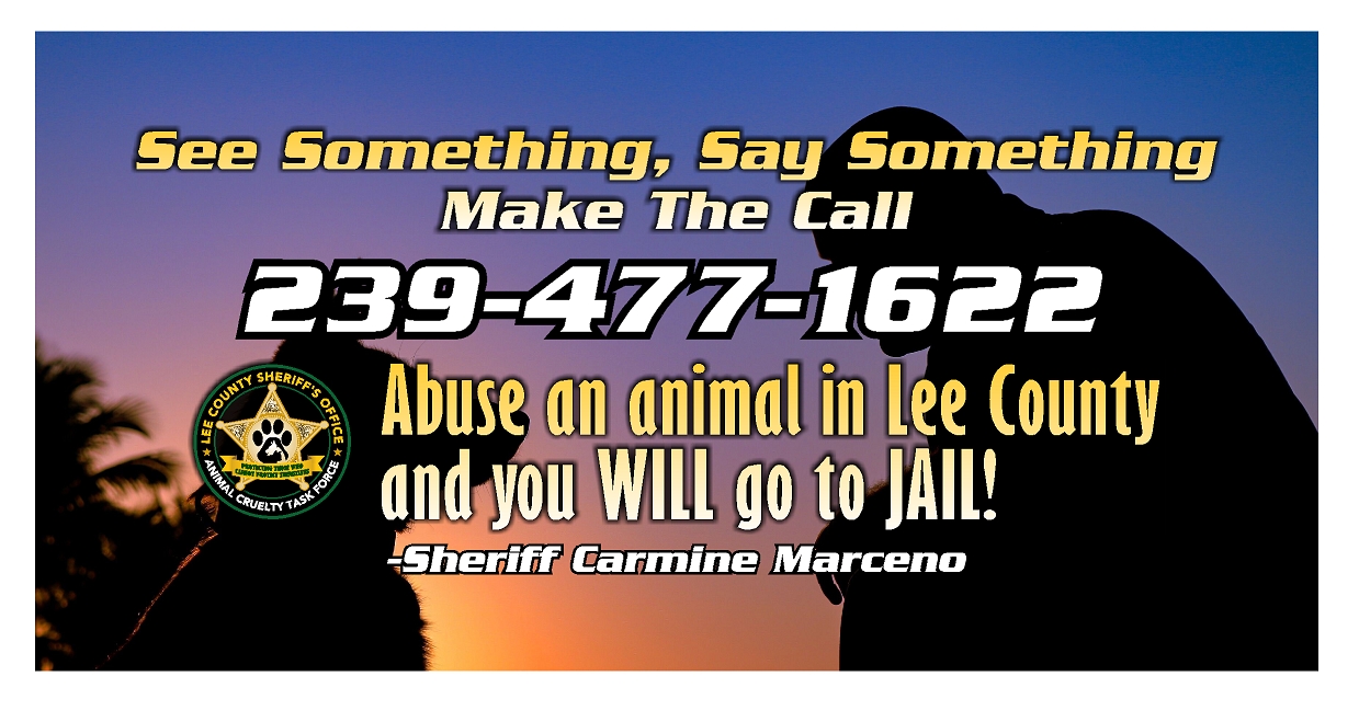 Animal Cruelty Task Force